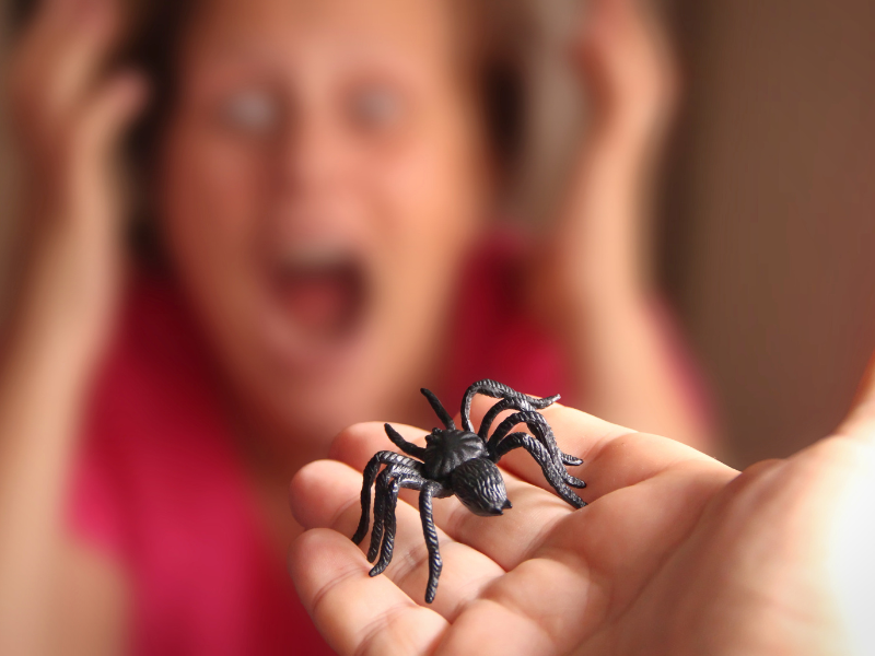 Phobias and Fear: Symptoms, Causes and Treatment | Solh Wellness